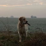 Football Typing Challenge Quiz - By Molstar