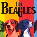 Richard Osman's Answer Smash Quiz - By LordofHogunManor